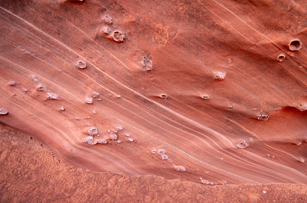 Antelope Ridge Adventure Park - PAGE ARIZONA - GLEN CANYON - LAKE ...